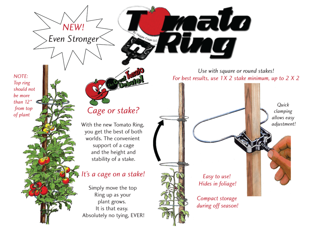 Introducing the Tomato Ring