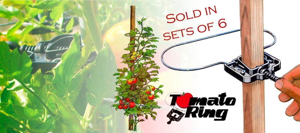 All Roots Planter Co. | Tomato Rings