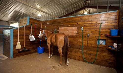 HORSE BOARDING STABLES