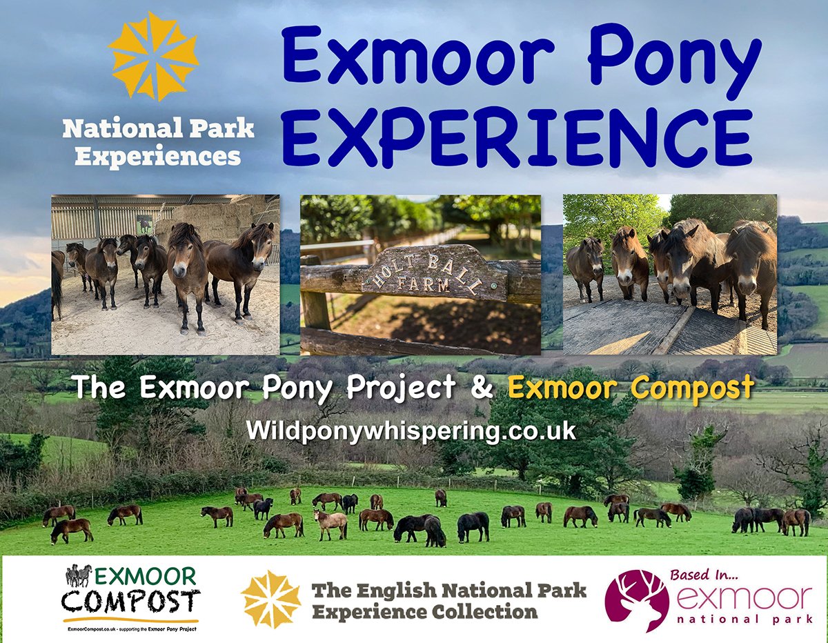 Join the Exmoor Pony Experience - National Park Experiences Collection