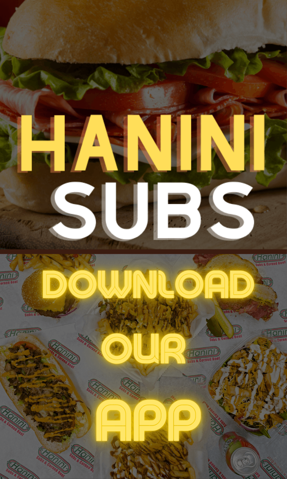 Home [www.haninisubs.com]