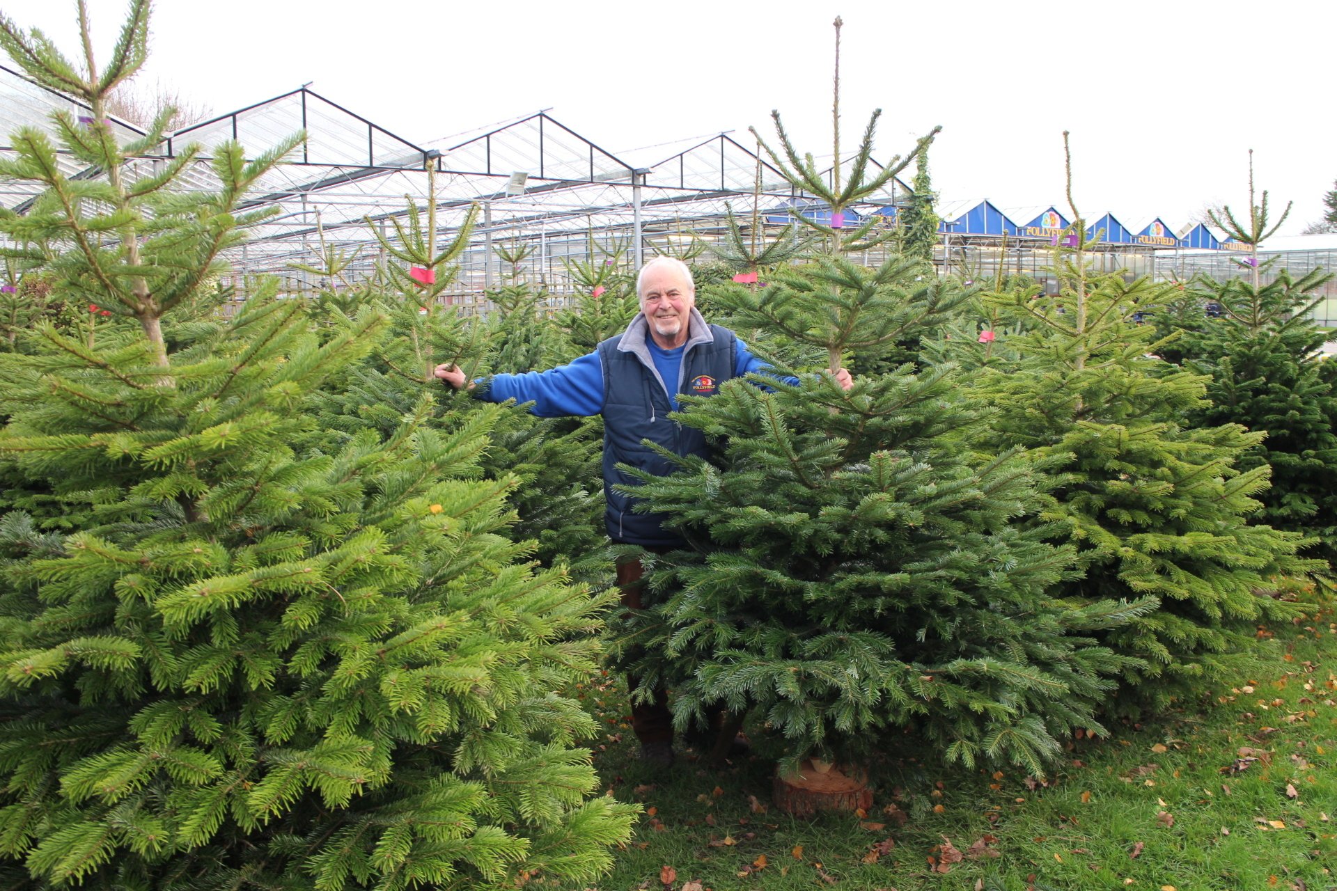 Pictures | Follyfield Nurseries