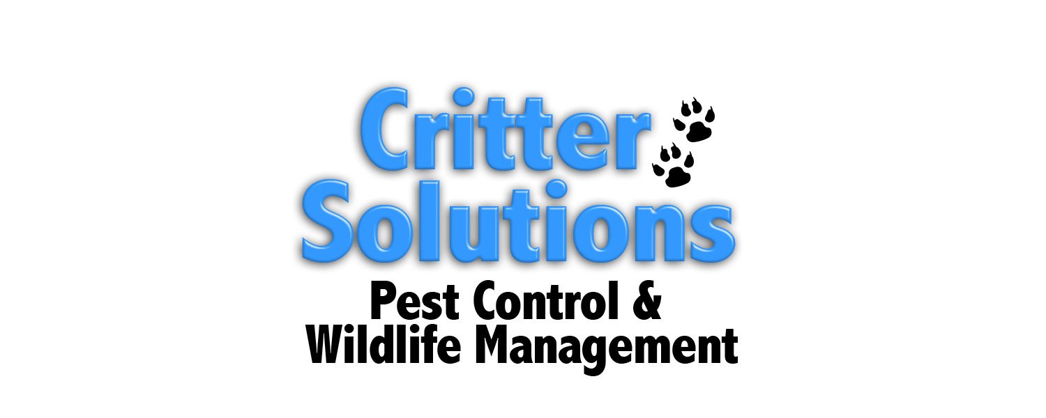 Home [critter-solutions.co.uk]