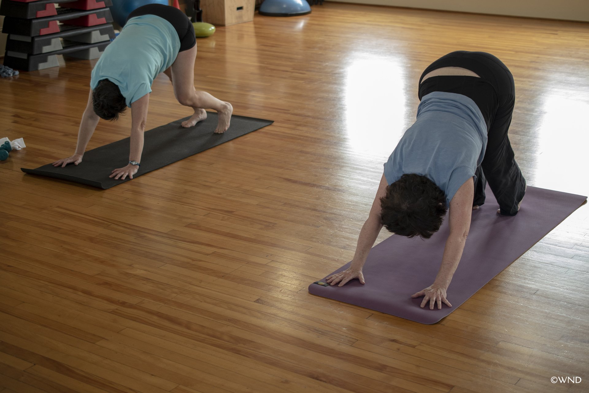 Blue Zone Wellness and Fitness Centre