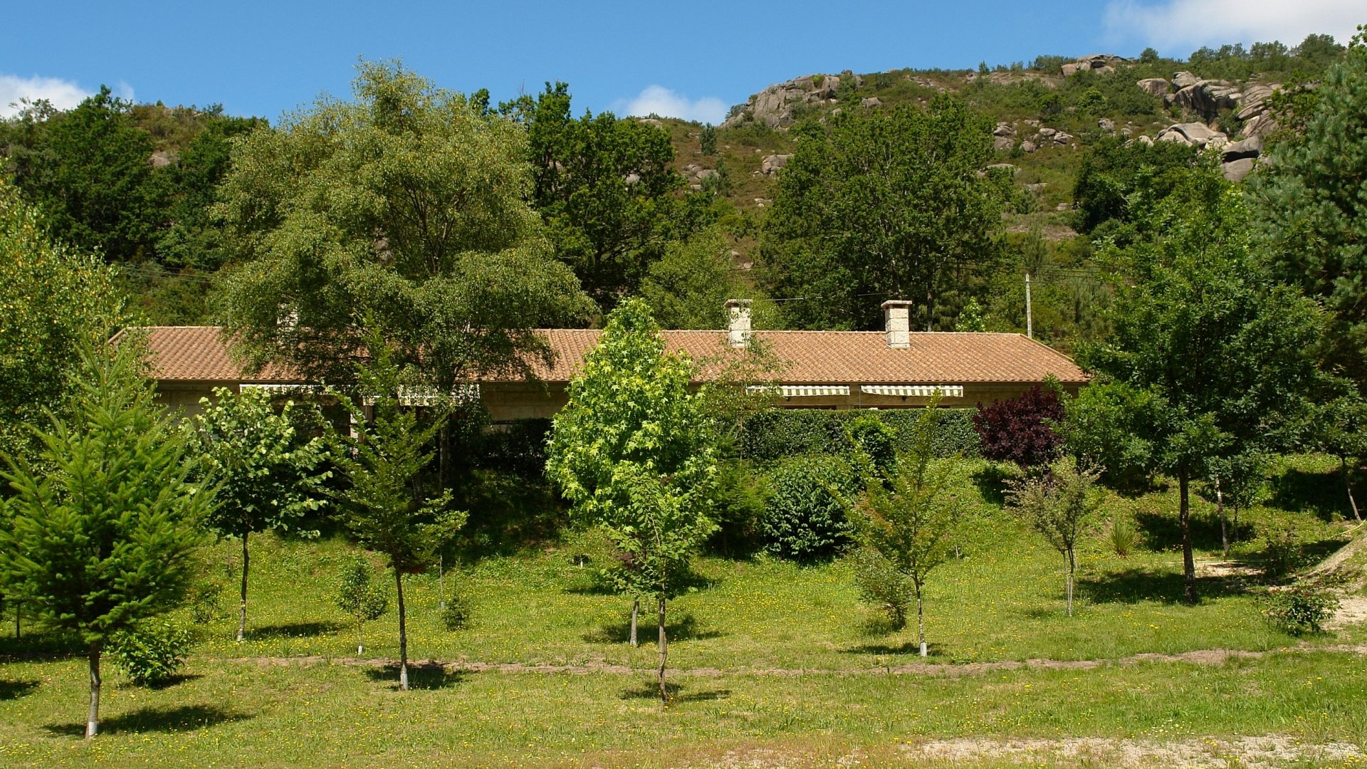 Alojamento / Casas / Bungalows Azevinho