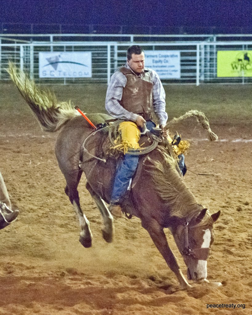 Photo Gallery South Central Kansas