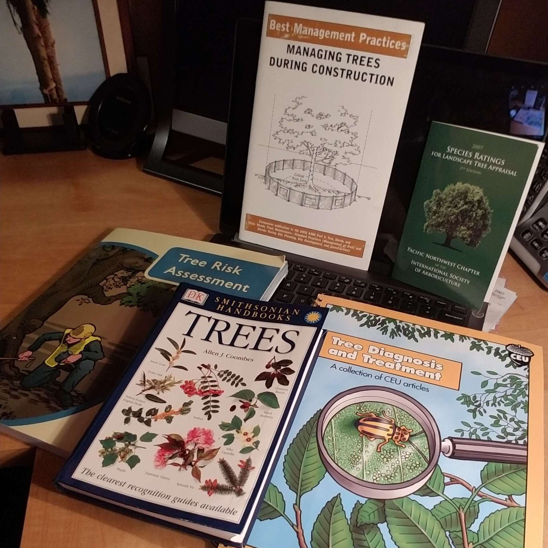 Arborist, Tree Removal Company | Monroe, Snohomish & Bothell, WA ...