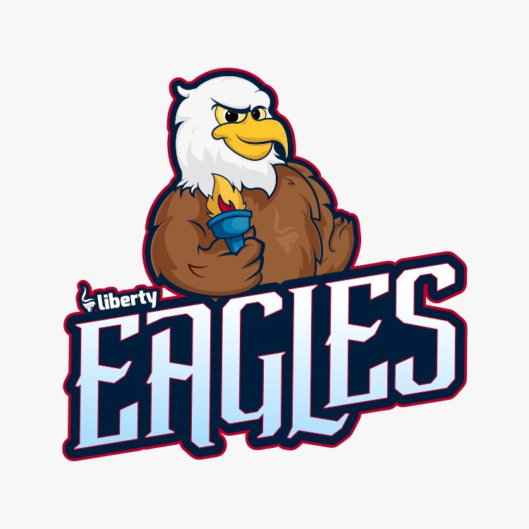 Liberty STEAM Charter Branding