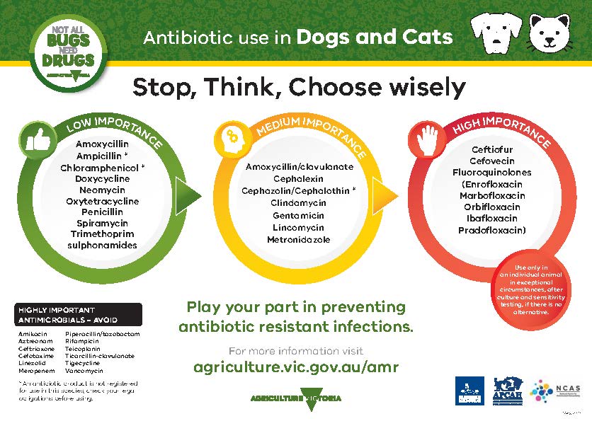 National Centre for Antimicrobial Stewardship