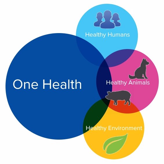 National Centre for Antimicrobial Stewardship