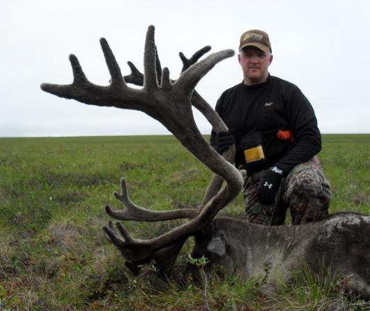Alaska Guided Caribou Hunts | Alaska Arctic Adventures