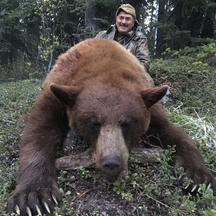 Alaska Guided Spring Grizzly Bear Hunting | Alaska Arctic Adventures