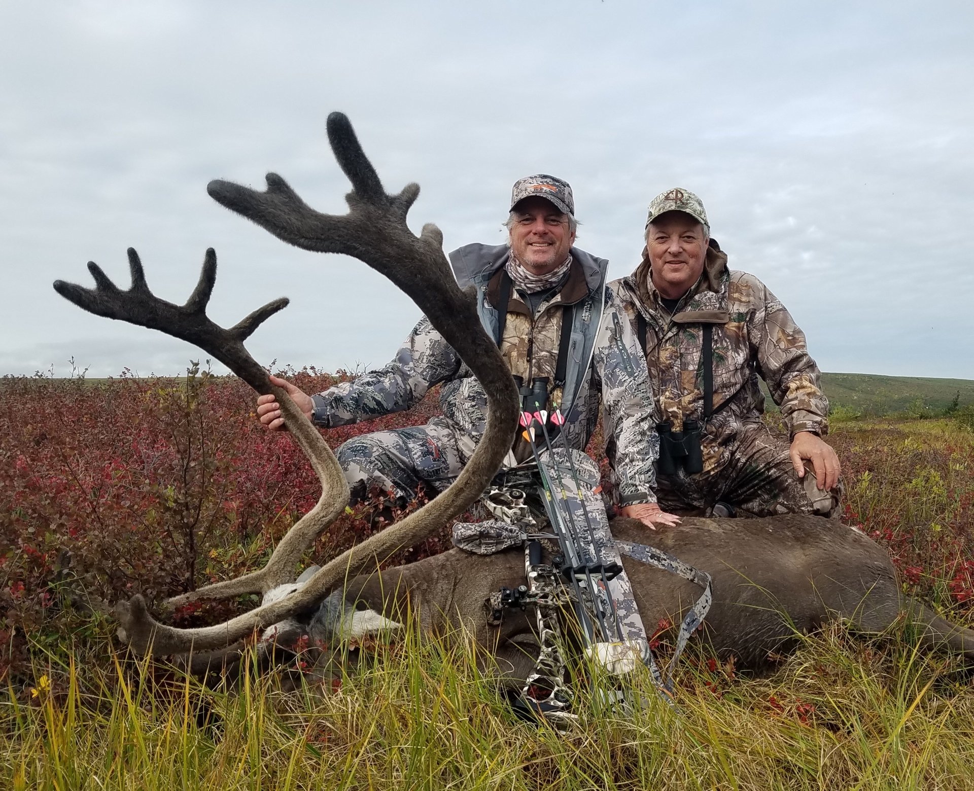 Alaska Arctic Adventure