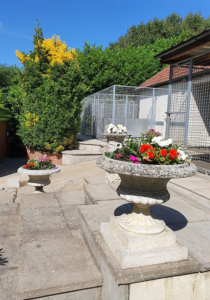 Kennels & Doggy Day Care, Essex | Beeches Farm Kennels