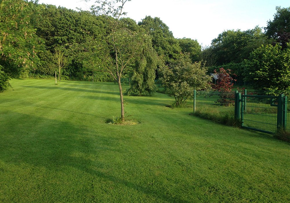 Kennels & Doggy Day Care, Essex | Beeches Farm Kennels