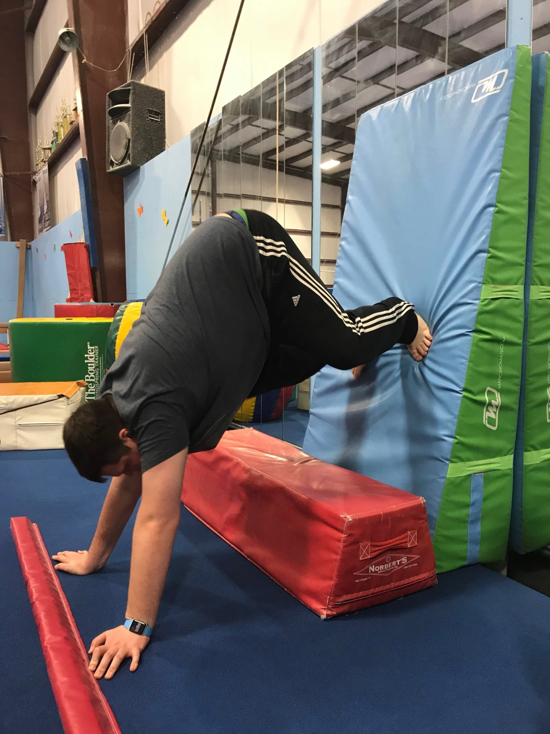 Adaptive Movement Program