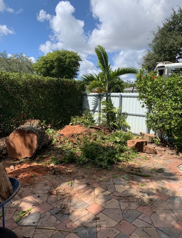 Tree Service for Miami, FL | Acosta Tree Service