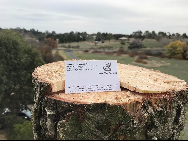 Tree lopper/ Geelong / Qualified Arborists