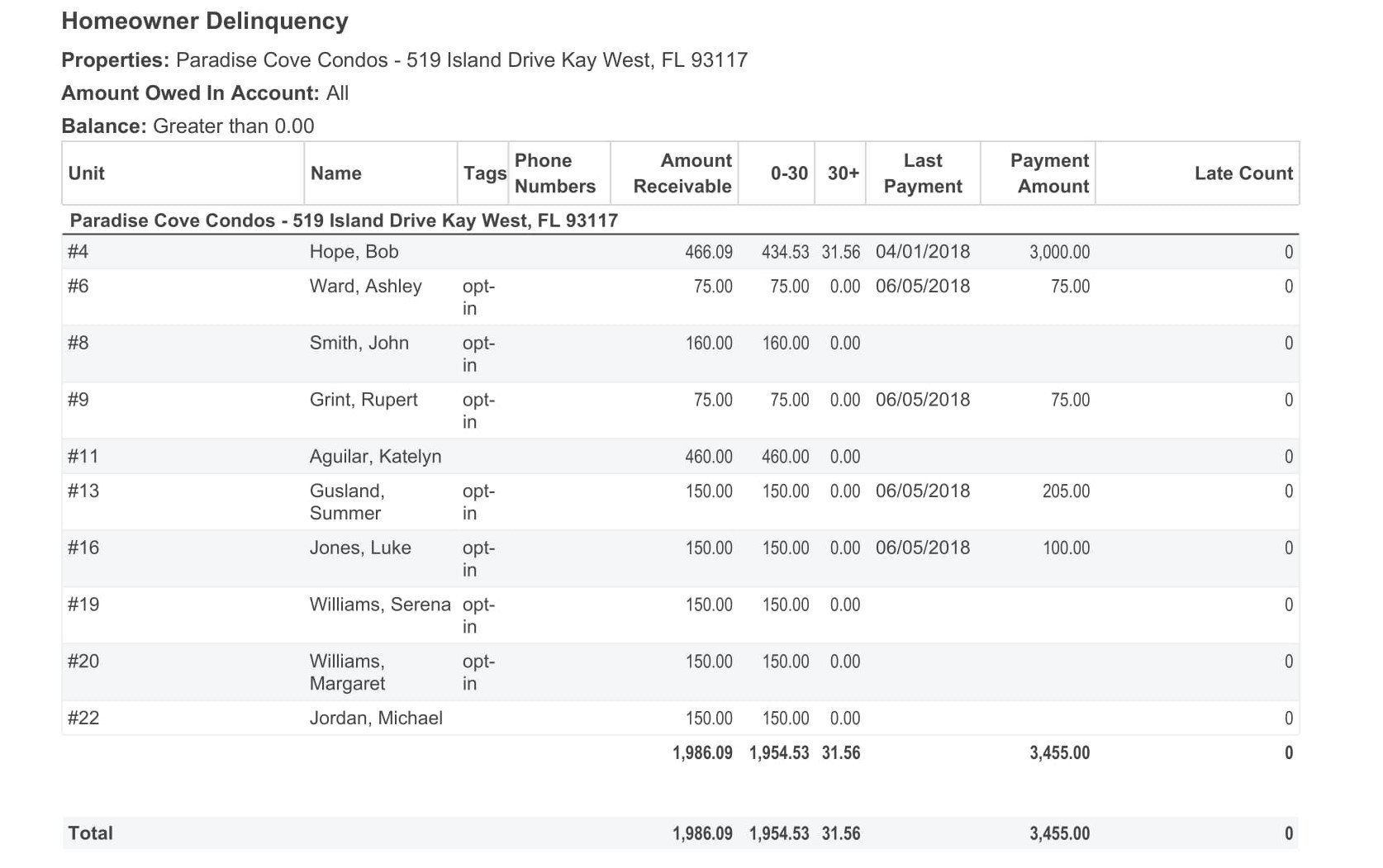 Ashoka Lion| Financial HOA Management Services