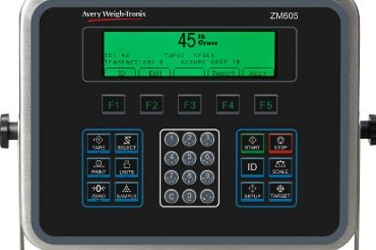Floor Scales | Chattanooga, TN | Industrial Scales & Systems Inc