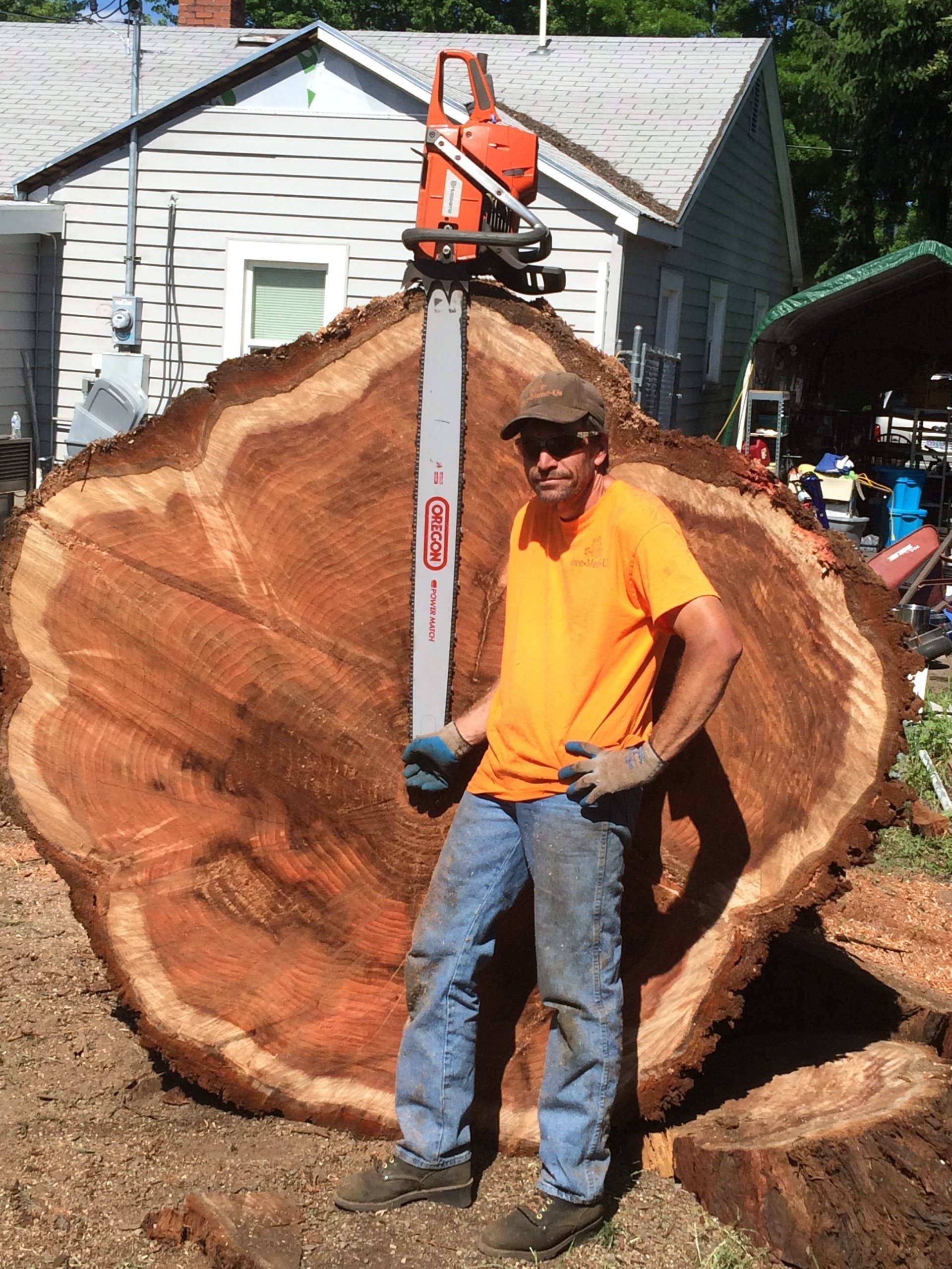 Trees | Medford, OR | Tree-Mend-Us