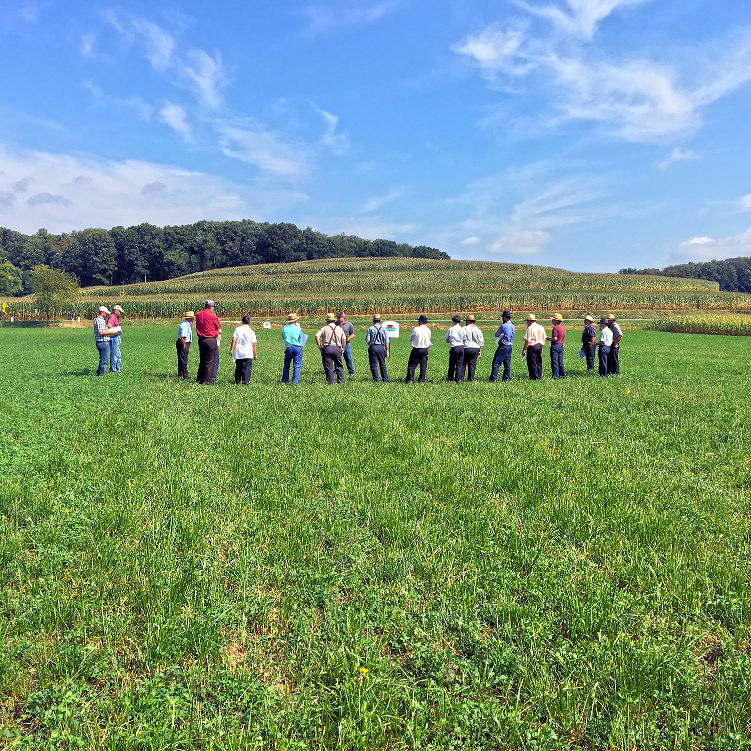 Gerber & Sons - About