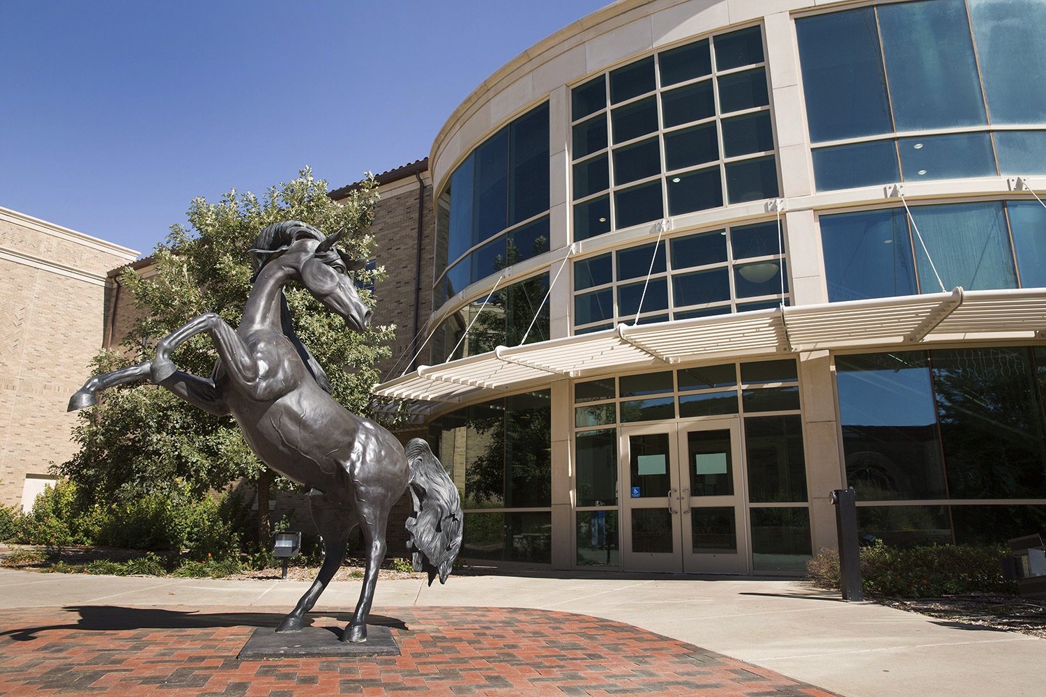 Texas Tech Claims 15th Intercollegiate Meat Judging Championship