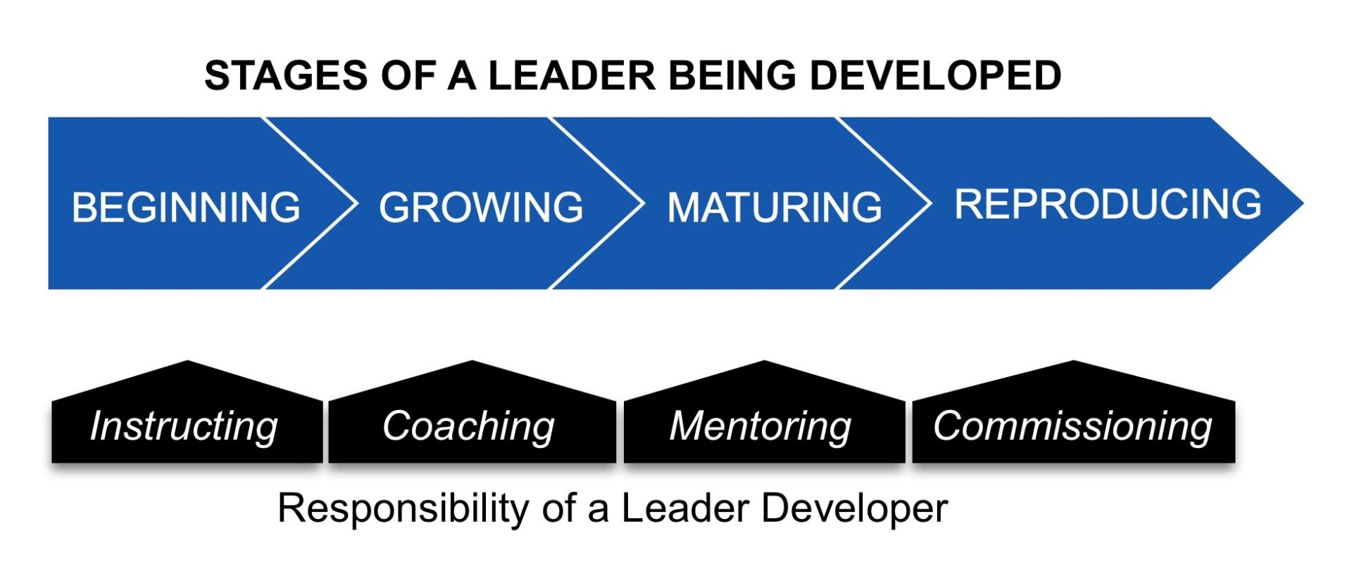 Stages of a Leader Being Developed