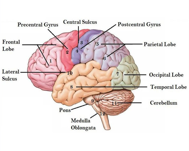 Kampas Research Visual Design & Discovery