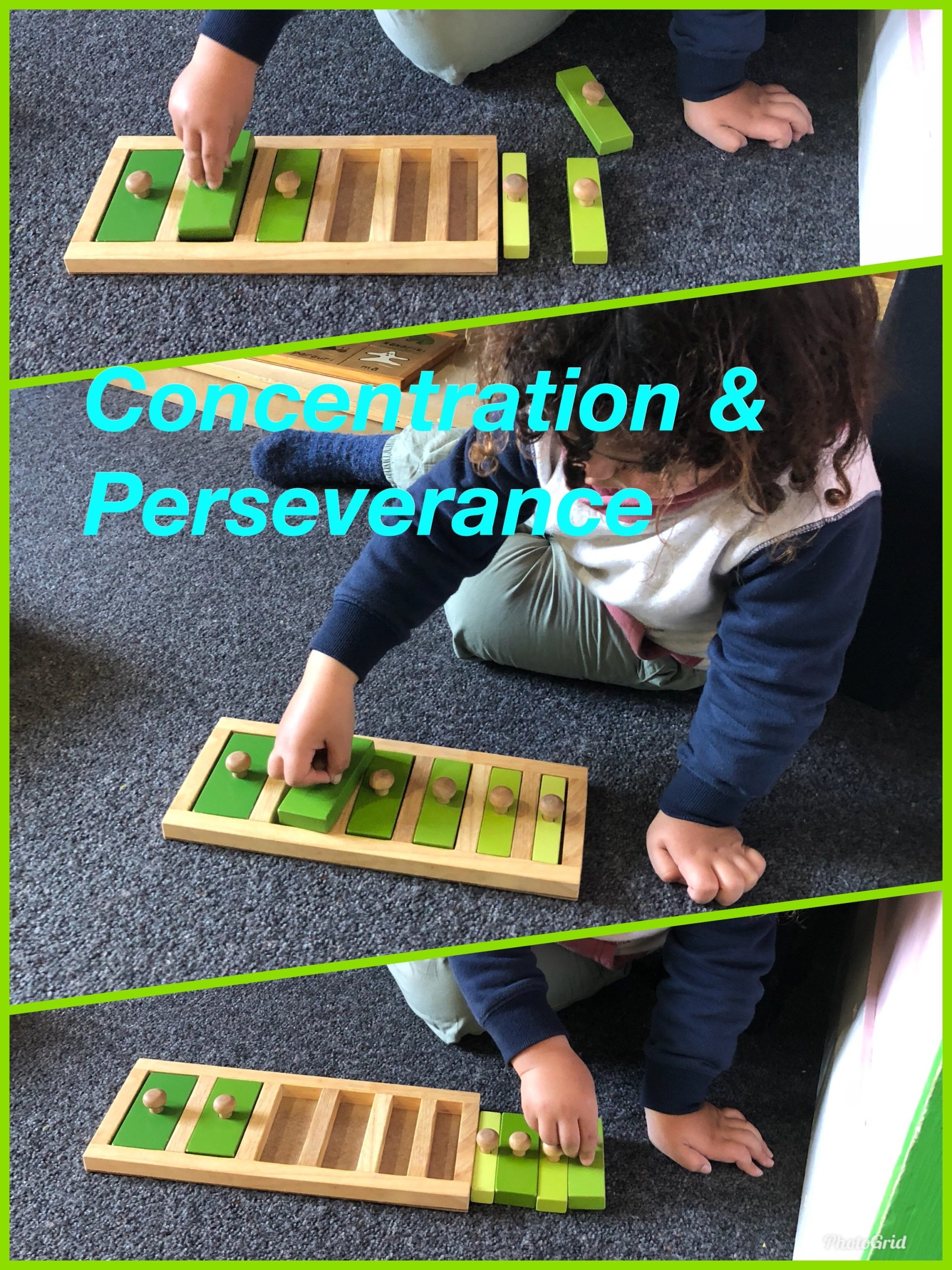 Childcare Palmerston North – Learn a Lot Littleez & Kindy Kidz