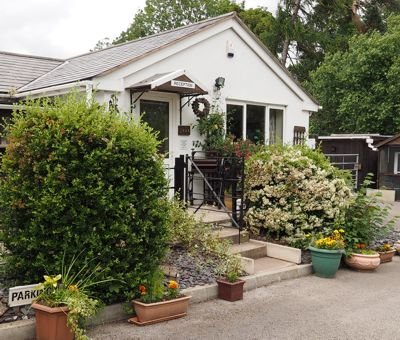 HOME [www.brookparkfarmcattery.co.uk]