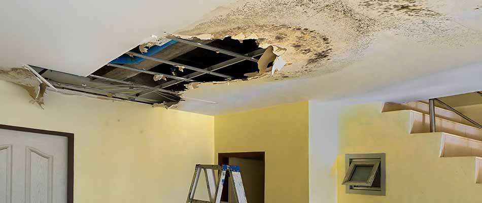 The horrors of Long Term Water Damage