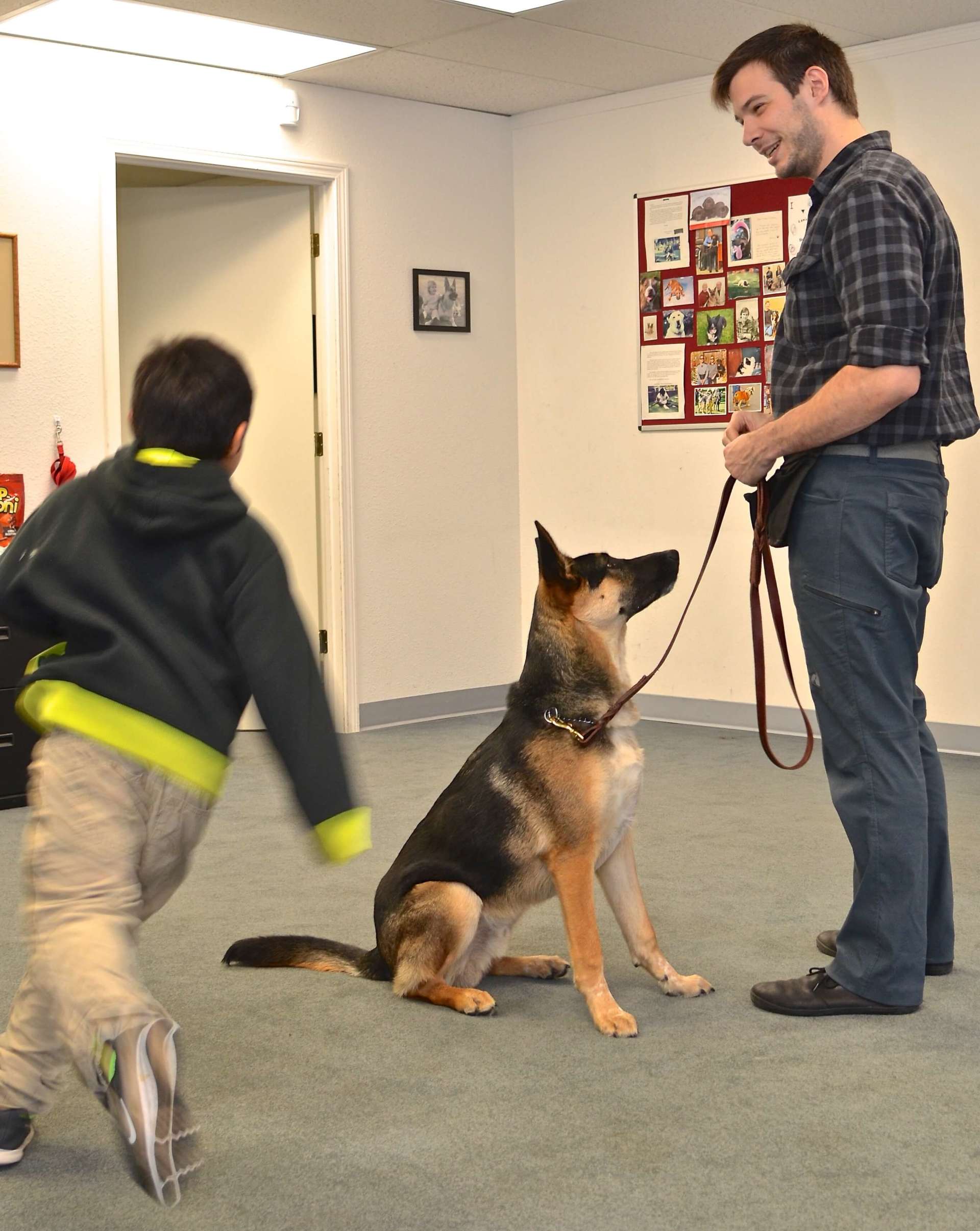 Dog Training | Portland OR | The Canine Classroom | Personal Training ...
