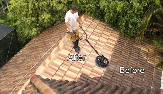 Our Results | Monterey, CA | Better View