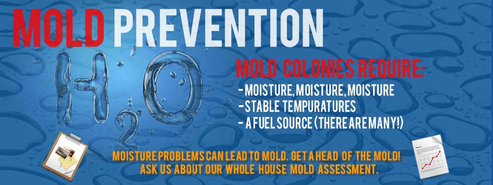 Mold and Moisture in Your Home