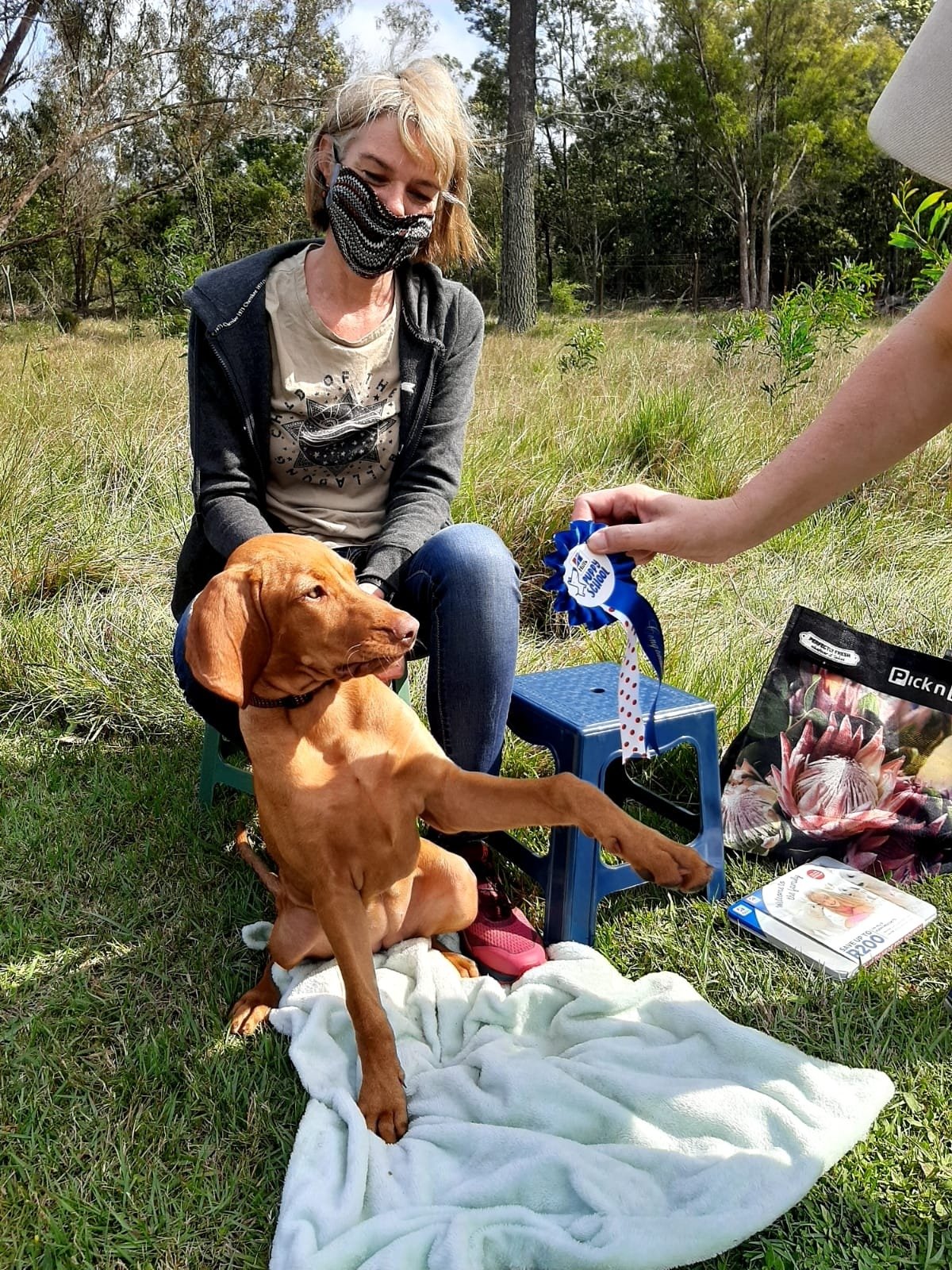 Dog Training Port Elizabeth | Shop Pet Products
