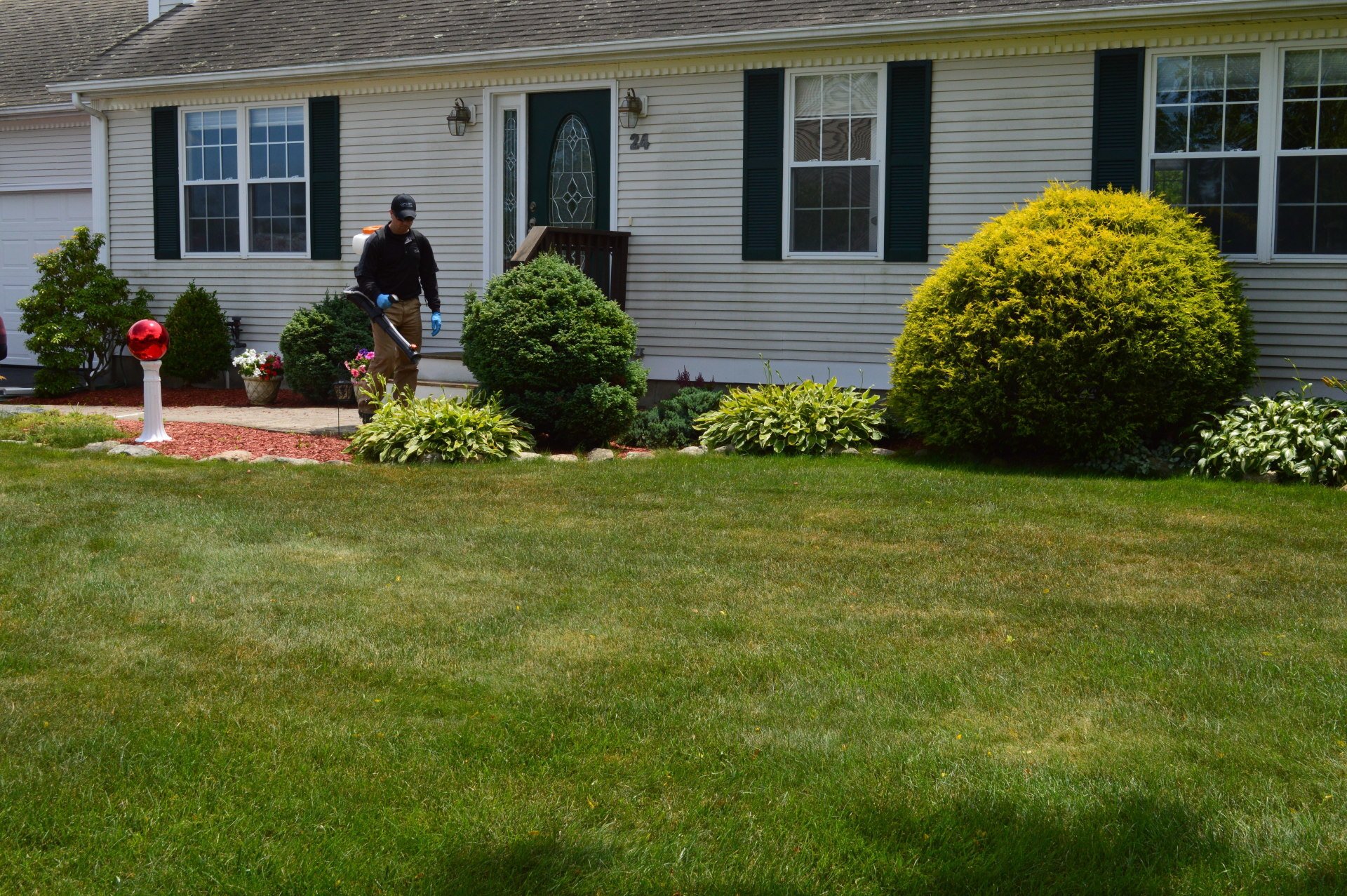 Warwick, RI Pest Control Pros | Pest Assassins