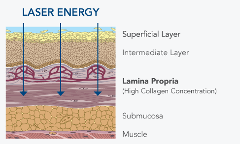 Solea Sleep | J. Steven Banks, DDS