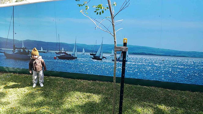 Signage | Digital Printing Newcastle | Hi-Impact Signs