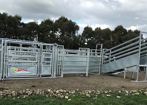 National Herd Development Co-Operative : Victoria : South Australia ...