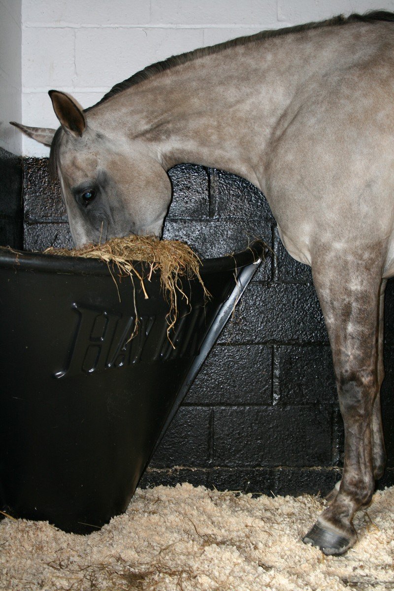 Home :: Hay Bar | The Safer, Smarter Feeding Solution for Horses