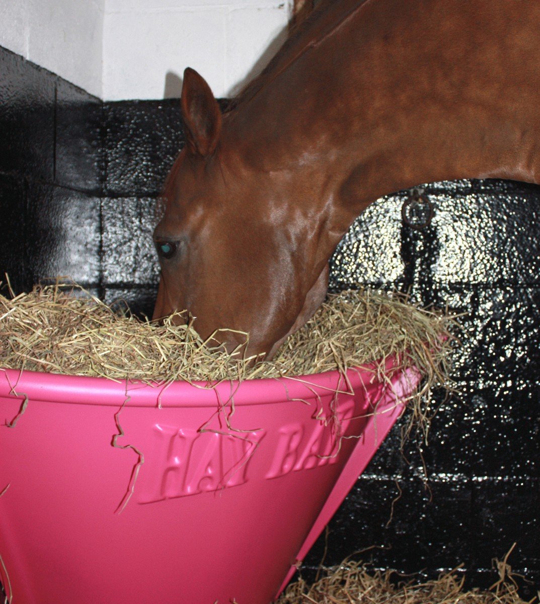 Home :: Hay Bar | The Safer, Smarter Feeding Solution for Horses