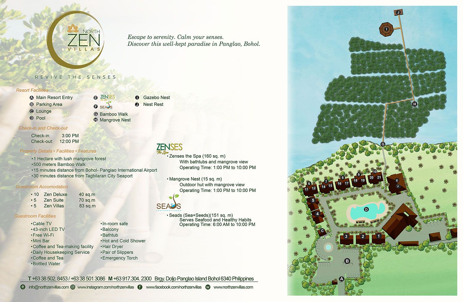 North Zen Villas | Serene Wellness Resort in Bohol, Philippines