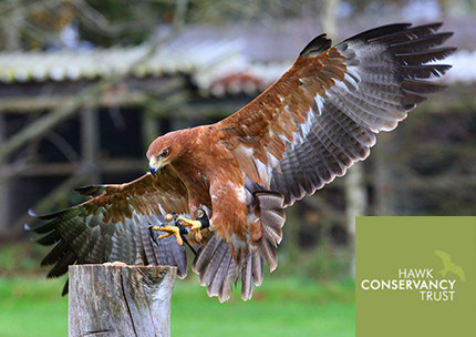 Local Attractions - The Fur & Feathers