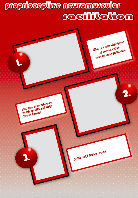 A Level Pe Pnf Stretching