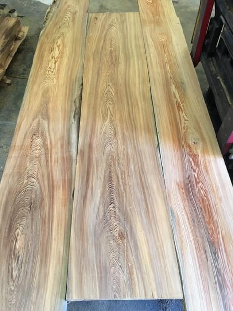 Wood Gallery |Tampa, St. Petersburg, Clearwater, Brandon