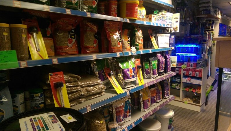 Aquatic gallery | London | Woodford Aquatics