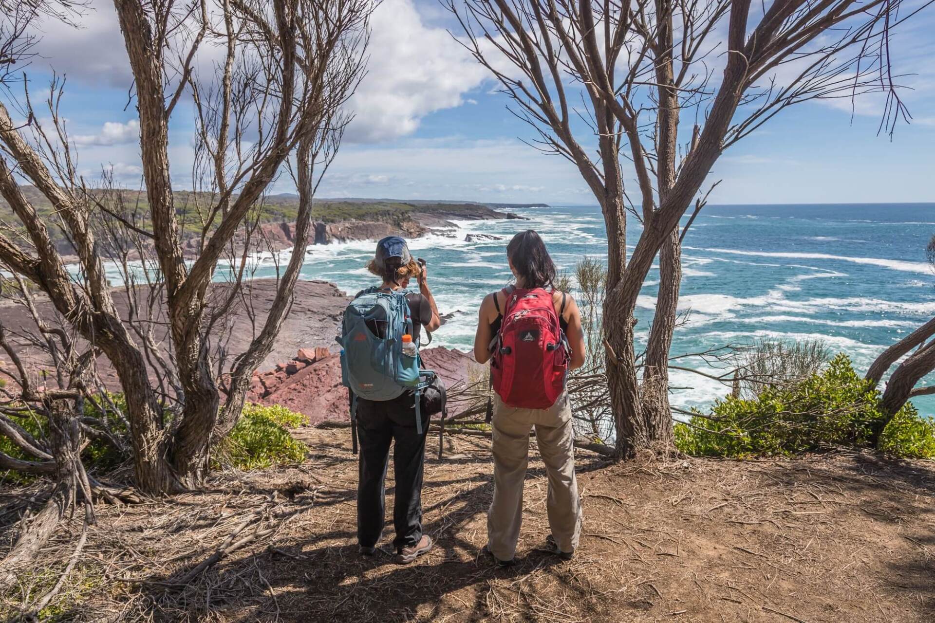 Things to do in Tathra - Sapphire Coast, New South Wales