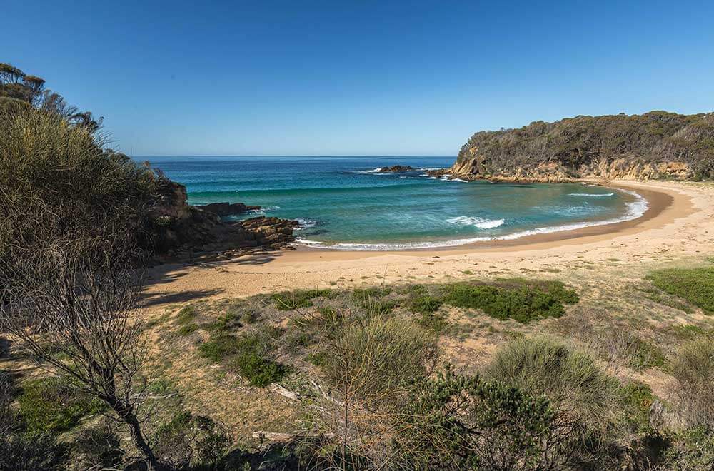 It's in our nature - Visit Tathra, Sapphire Coast, New South Wales