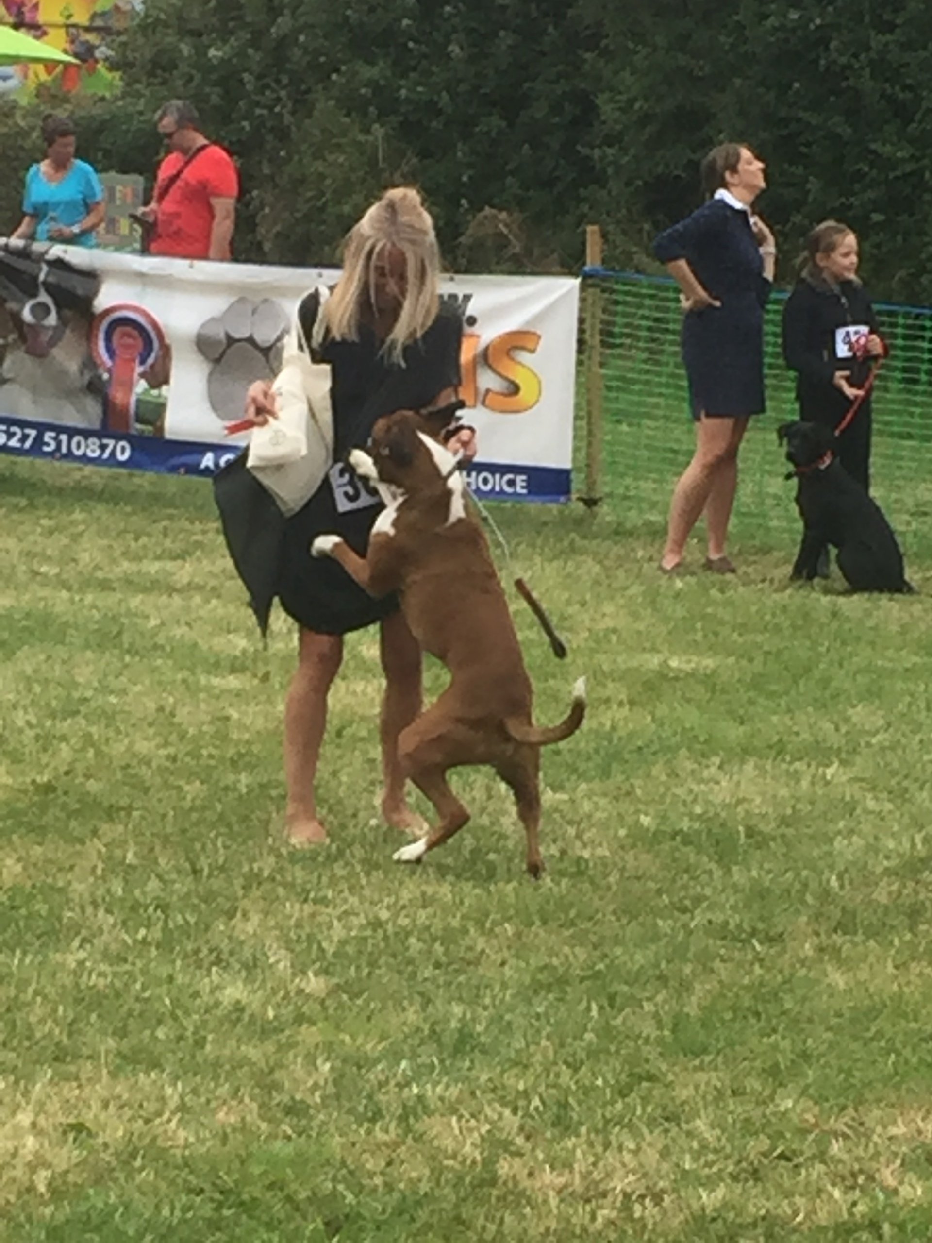 Remembering when Billy The Boxer won Gold